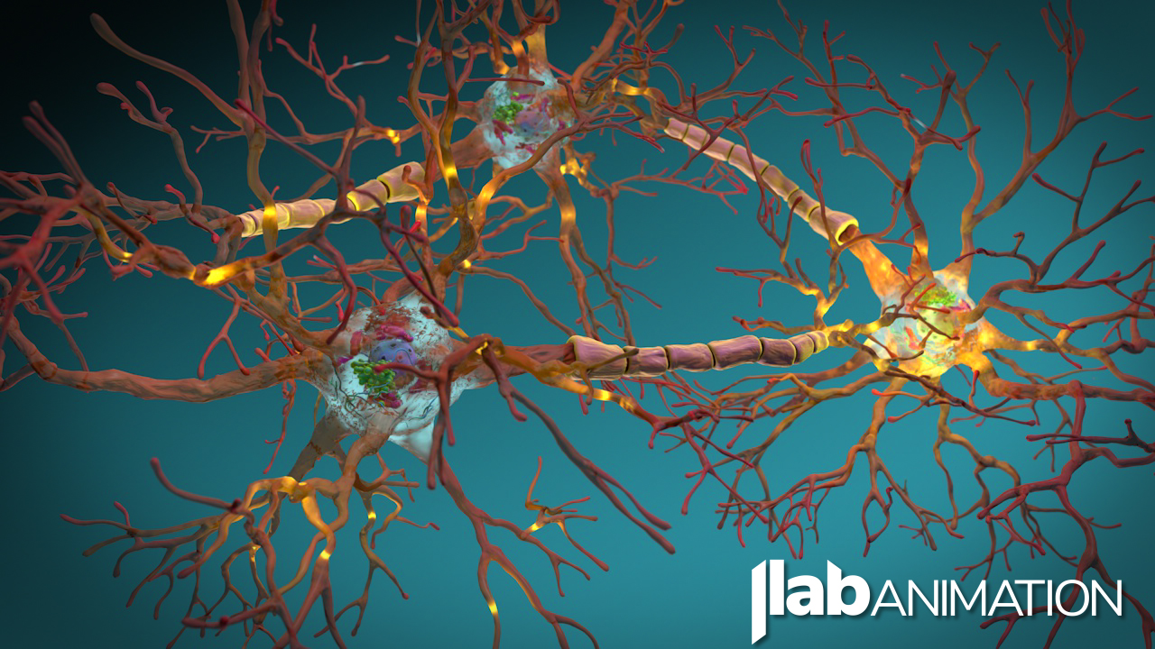 Pharmaceutical 3D Animation: How To Promote Your Product